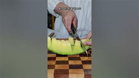 메론 자르는법🍈 메론 맛있게 먹는 법 후숙손질하기 과일 간단요리 Youtube