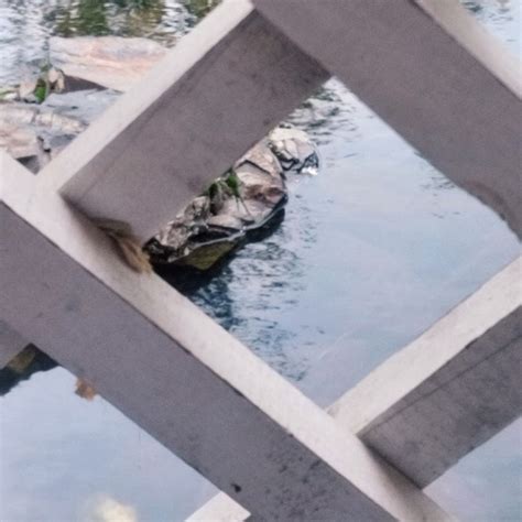 Өдрийн тэмдэглэл Youtube