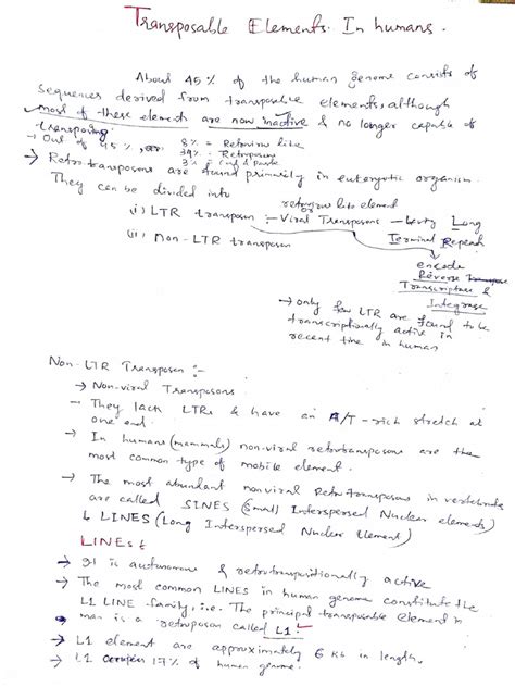Transposons In Human Pdf Macromolecules Genetics