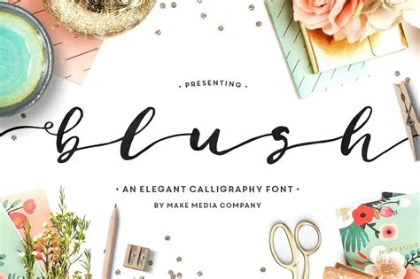 Blush Script Font UpFonts