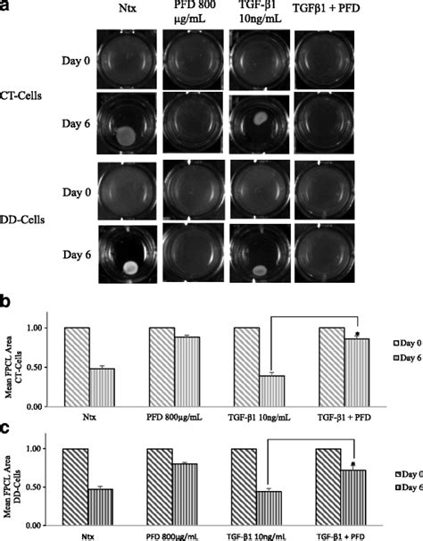 Cellular Contractile Ability Was Diminished In The Presence Of
