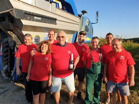 Започна гроздоберът в Търговище