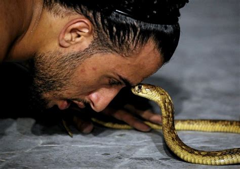 世界の雑記帳：エジプトのリゾート地で若き蛇使いが活躍、観光への貢献目指す 毎日新聞