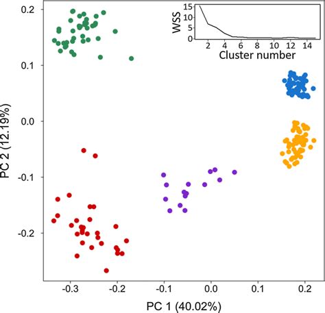 Principal Component Analysis Pca Plot With K Means Cl Vrogue Co