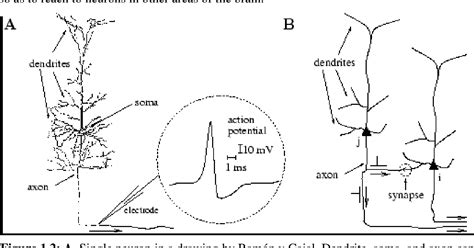 Figure 113 From Spiking Neuron Models Single Neurons Populations