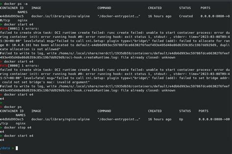 Cannot Start Previously Stopped Containers `plugin Typebridge