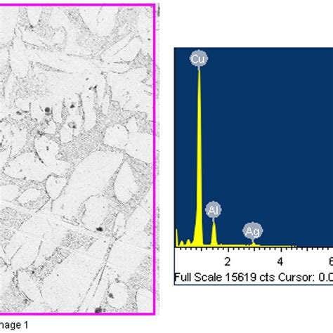 microstructure obtained after the normalizing heat treatment observed