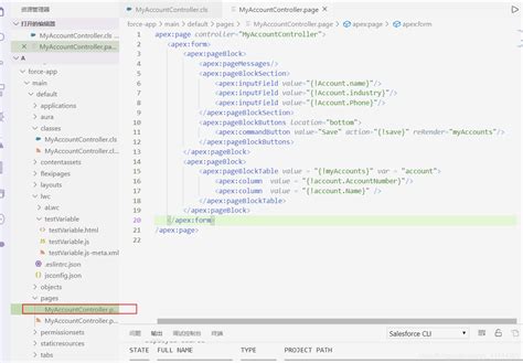 Salesforce开发教程上下 Csdn博客