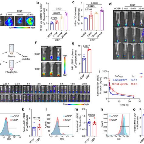 Preparation And Characterization Of CISP A Representative Fluorescence Download Scientific