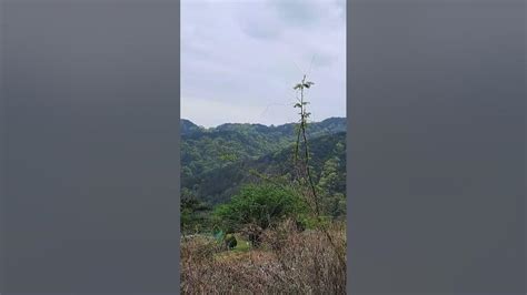 달성군 화원읍가볼만한곳 마비정 마비정벽화마을 앞산 조용한 산골 풍경 Youtube