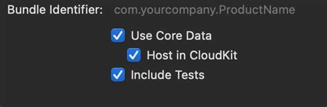How To Solve Cloudkit Database Permission Issue 2021 By Ming Mac
