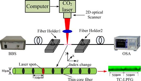 Distal Interphalangeal Joint 3 Semantic Scholar