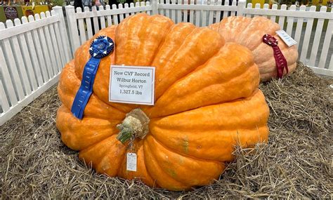 How To Build A Compelling Business Case For Generative Ai By David Sweenor Medium