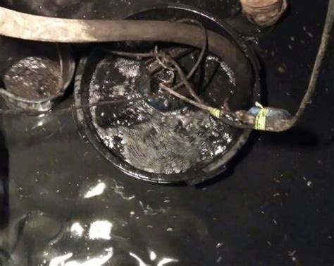 Купить оборудование для очистки сточных вод предприятий