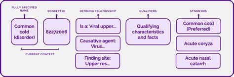 Medical Coding Systems Explained Icd 10 Cm Cpt Snomed And Others