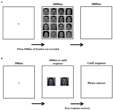 A Schematic Illustration Of A Trial In The Encoding Stage B Download Scientific Diagram