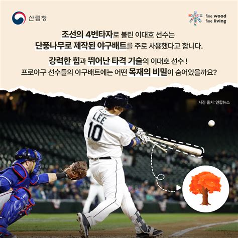 Ilovewood캠페인 02 목재는 이산화탄소의 훌륭한 저장고이다 나무는 태양에너지 뿌리에서 빨아올린 물과 잎에서 흡수한 대기 중의 이산화탄소를 이용해 양분 물질인