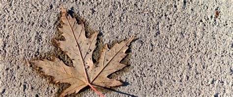 Testing Reactjs Context A Guide With Test Doubles Dev Community