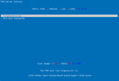 9012 Upgrading The Pam Server Using Standalone Inline Process