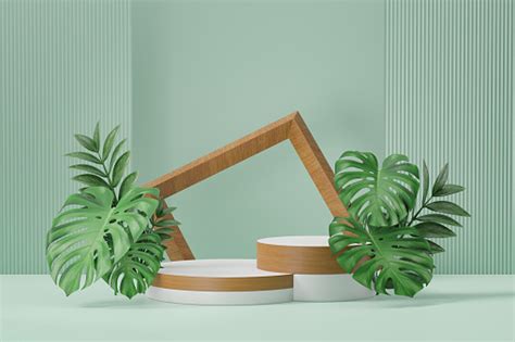 화장품 디스플레이 제품 스탠드 녹색 배경에 나무 프레임과 녹색 식물 잎 두 나무 흰색 실린더 연단 3d 렌더링 그림 0명에 대한 스톡 사진 및 기타 이미지 Istock