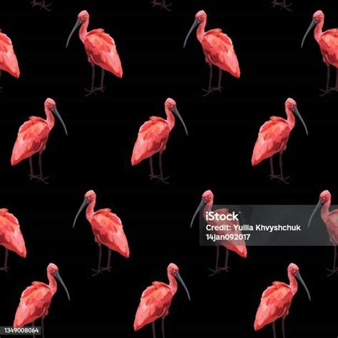 핑크 플라밍고 이비스 새 검은 배경 플로럴 매끄러운 패턴 열대 일러스트레이션 이국적인 식물 새 여름 해변 디자인 파라다이스 자연 0명에 대한 스톡 벡터 아트 및 기타 이미지