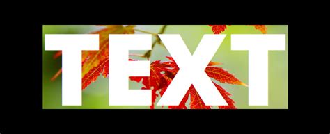 how to create animated text fills codrops