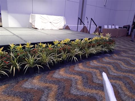 Landscape Event Display