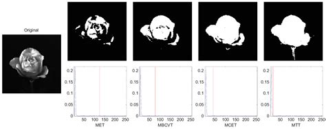 entropy free full text optimal multi level thresholding based on