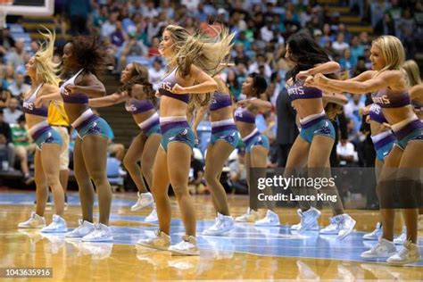 Charlotte Bobcat Cheerleaders Photos And Premium High Res Pictures