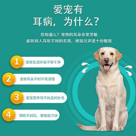 澳润吉洗耳液尔康宠物洁耳液猫咪滴耳液狗耳朵清洁液猫狗用耳螨药 虎窝淘