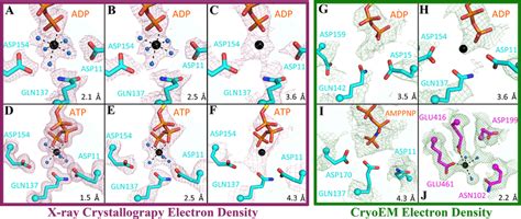 Comparison Of Electron Density Maps From Cryoem And X Ray Download Scientific Diagram