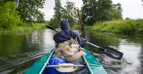 Canoeing Vs Kayaking A Comparison Of Two Popular Paddling Sports Watercraft 101