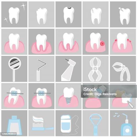 치과 아이콘 세트 단일 치아 잇몸 질환 치과 정렬 및 보철 치과 의사 도구 및 구강 관리로 치과 건강 스트렙토코커스 뮤탄스에 대한 스톡 벡터 아트 및 기타 이미지 Istock