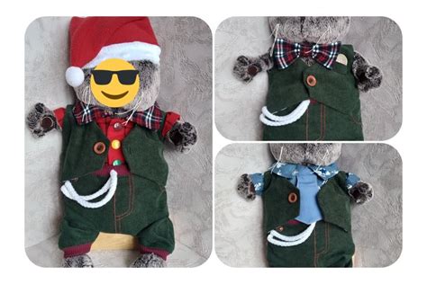 Одежда для Басика Одежда