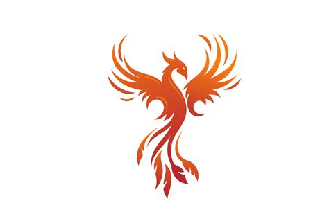 Phoenix Echris Login