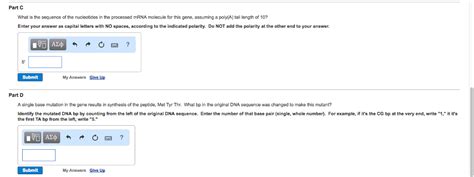 Solved Item The Sequence Of A Complete Eukaryotic Gene Chegg