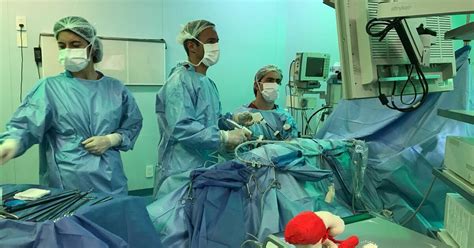 Órganos Impresos En 3d En La Argentina Para Qué Sirven Cómo Se Usan Y Por Qué Pueden Mejorar