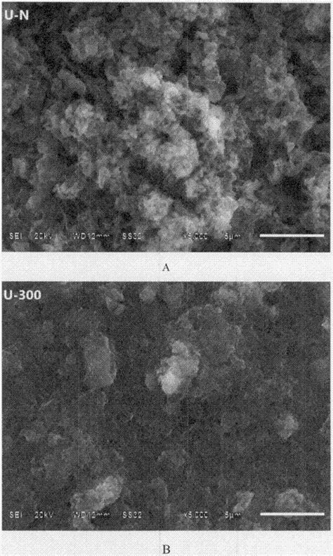 High Activity Graphite Phase Carbon Nitride Material And Preparation Method Thereof Eureka