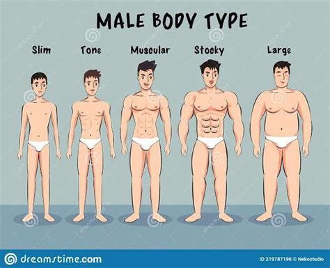 Pinterest Male Body Mens Body Types Male Body Shapes