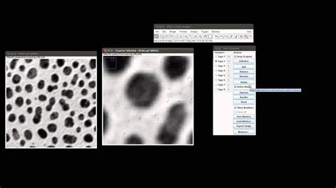 史上最全！tem分析软件 教程：digitalmicrograph、imagej、ipp、nm、ppt、tia等 Py学习