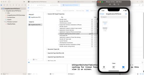 swiftui imagerenderer how to create pdf documents