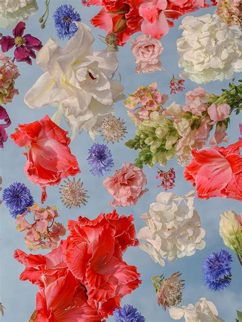In Focus Joe Horner On Capturing Natures Ephemeral Beauty · Urth Magazine