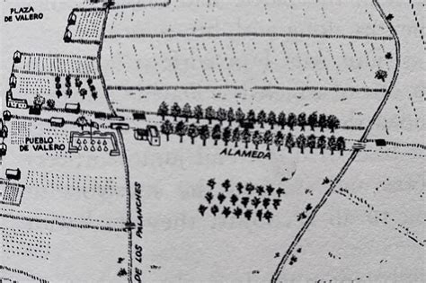 Searching For The Remains Of The Alamo Defenders Part 2 Finding The