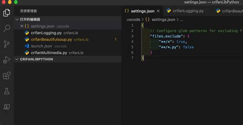 【基本解决】vscode中排除某些文件只显示某些类型的文件 在路上
