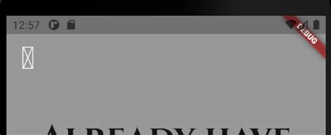 Flutter Icons Do Not Show Stack Overflow