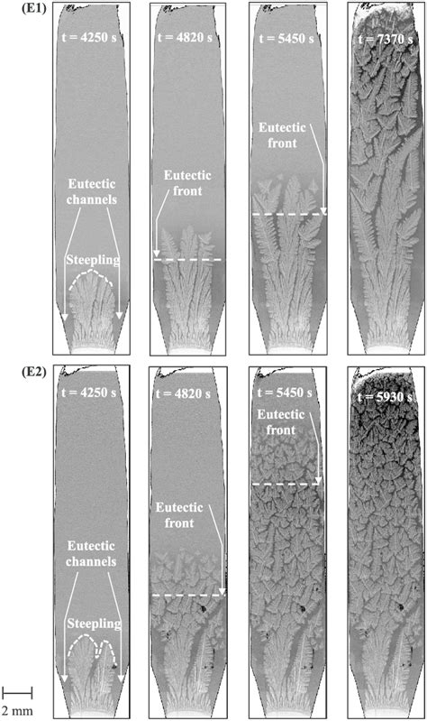 In Situ Synchrotron X Ray Radiography During Directional Solidification Download Scientific