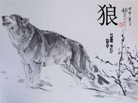 狼蒲松龄原文翻译赏析狼原文及翻译注释赏析 生涯设计