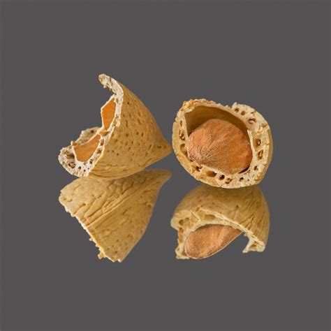Premium Photo Almond Nut In A Shell Cracked In Half