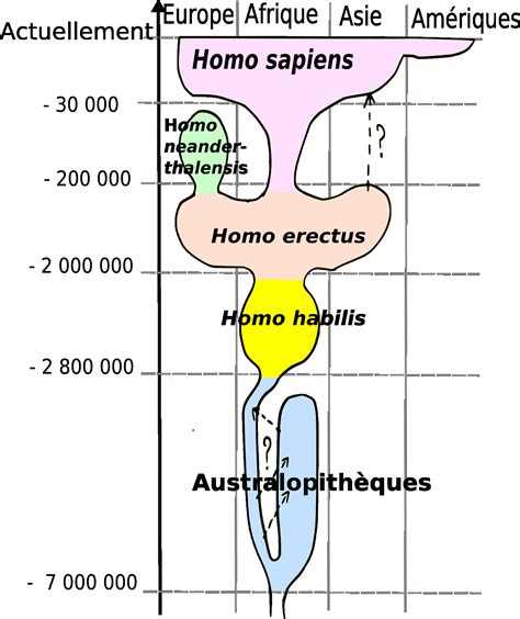 La Préhistoire Projet P02 La Frise Historique Mister Fanjo
