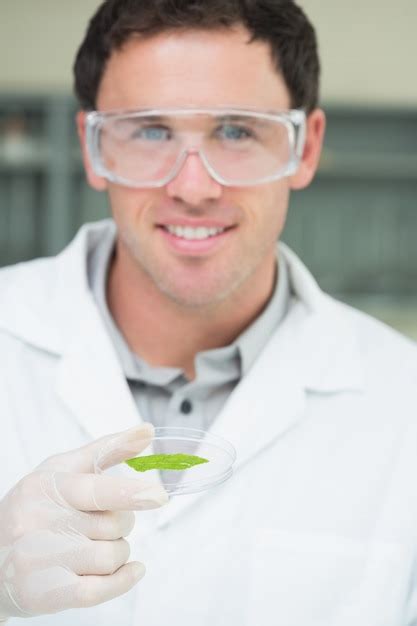 Premium Photo Scientist Analyzing A Leaf At The Lab